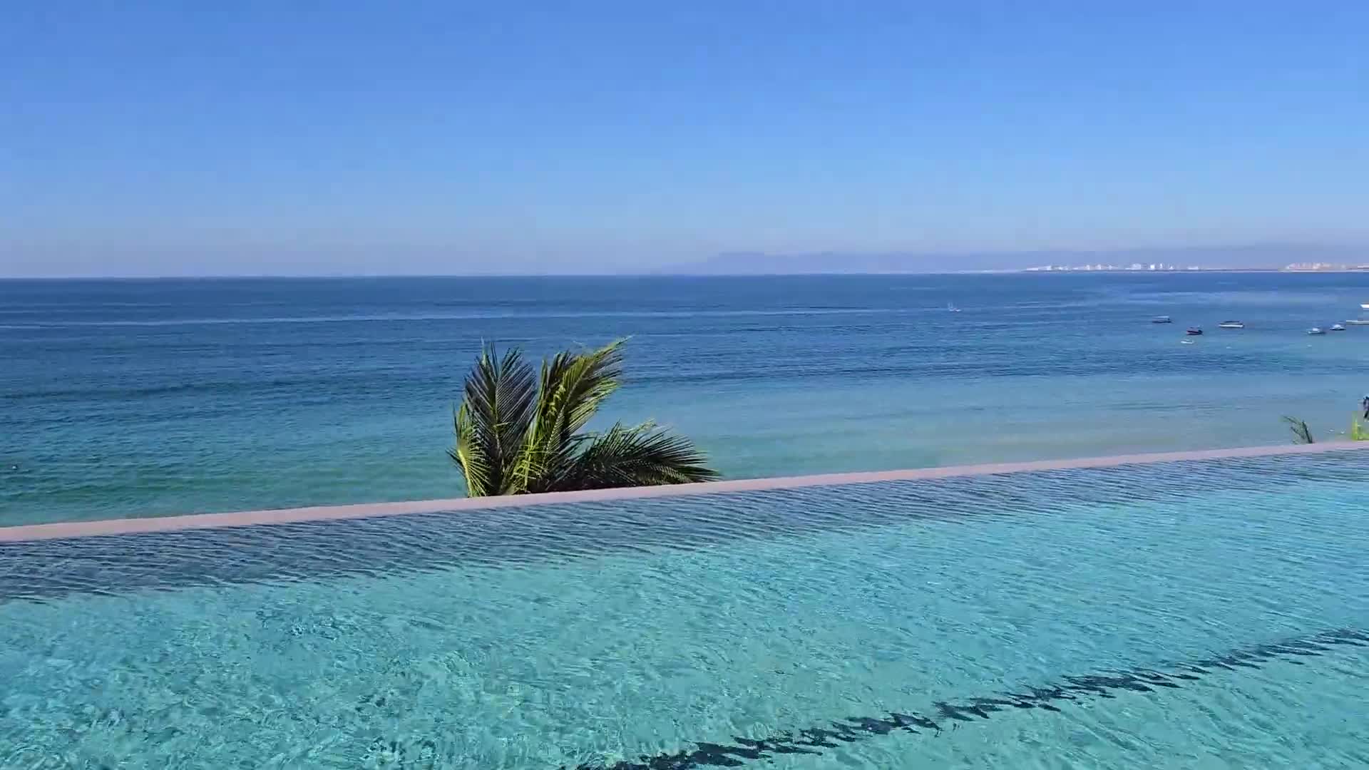 Where to find the best restaurants in Puerto Vallarta, Mexico!