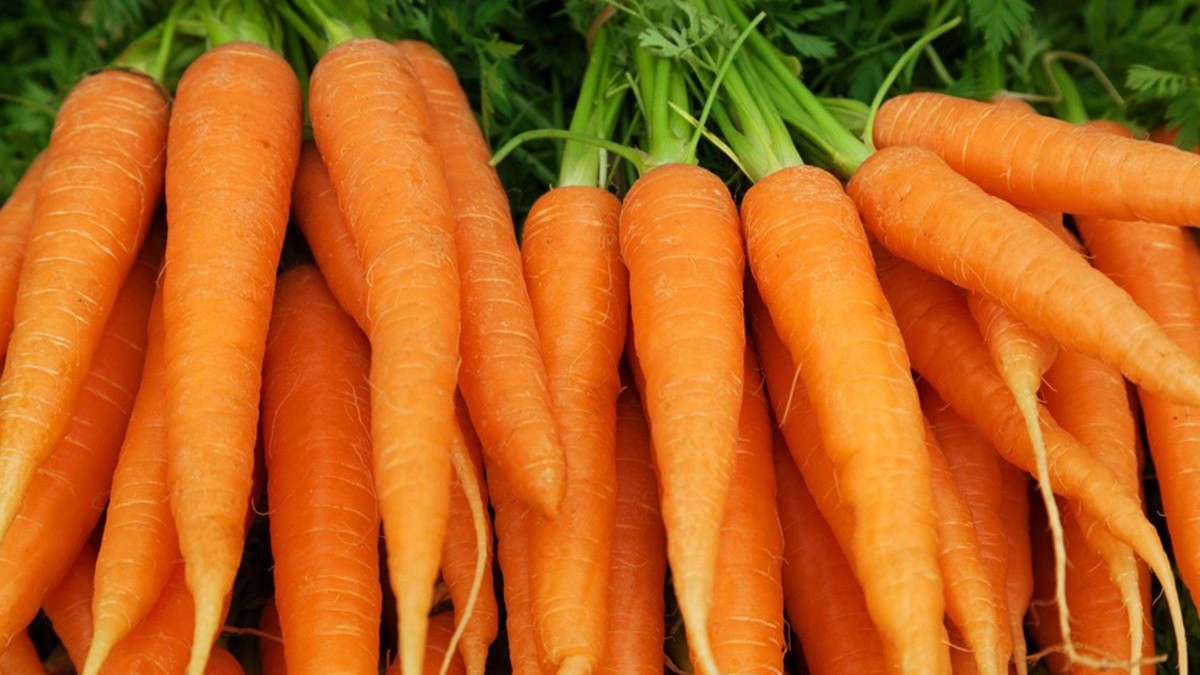 Do carrots really help your eyes? Here’s what science says