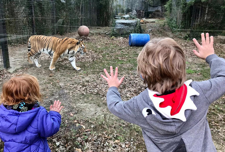 MLK weekend 2026 in New Jersey: Best things to do with kids