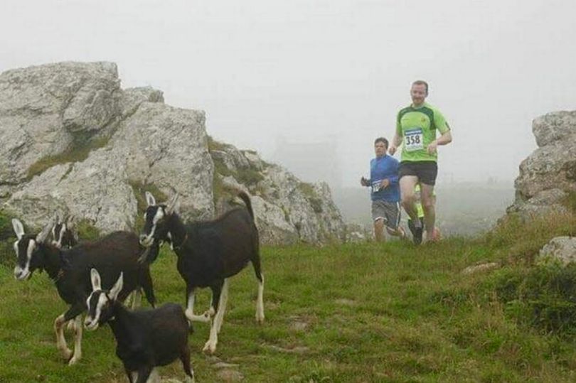 Two new international trail running events for Cork island and Wild ...