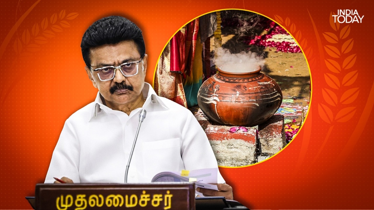 Stalin stirs the Pongal pot: Is the festival Tamil, Dravidian or national?