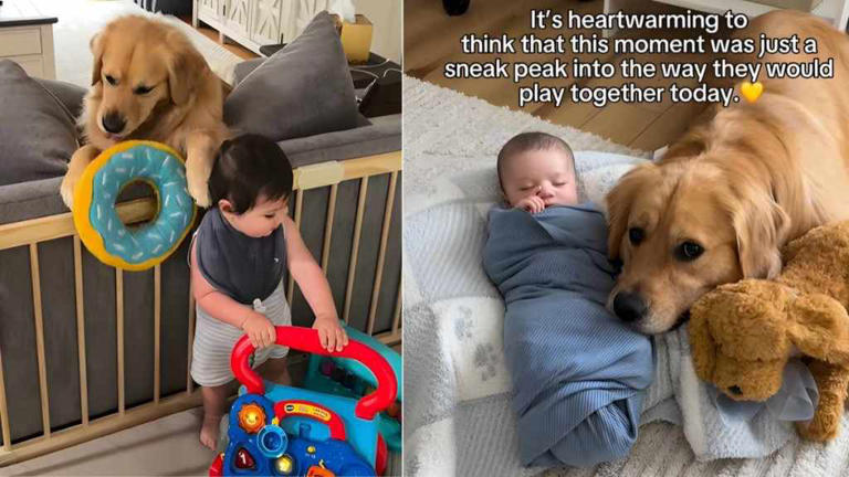 Video captures adorable start of baby & pet dog's brotherhood