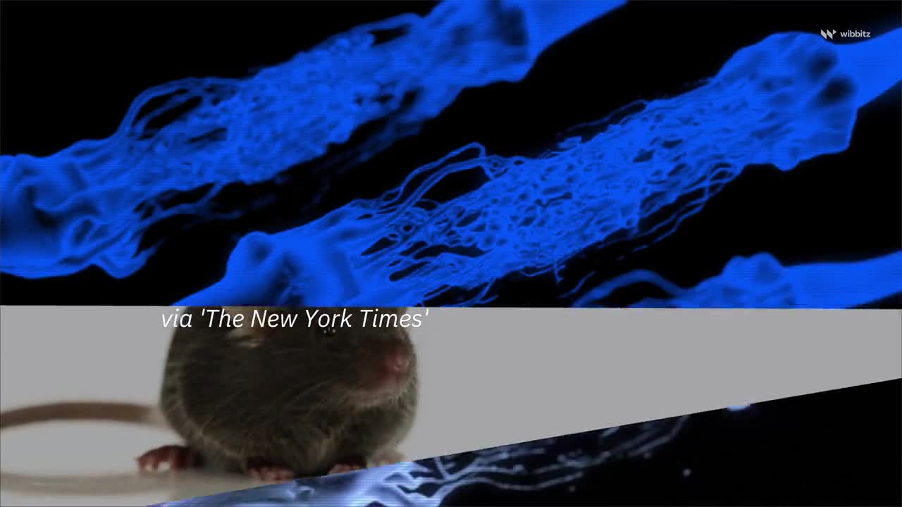 Here's why deep breathing works to keep you calm