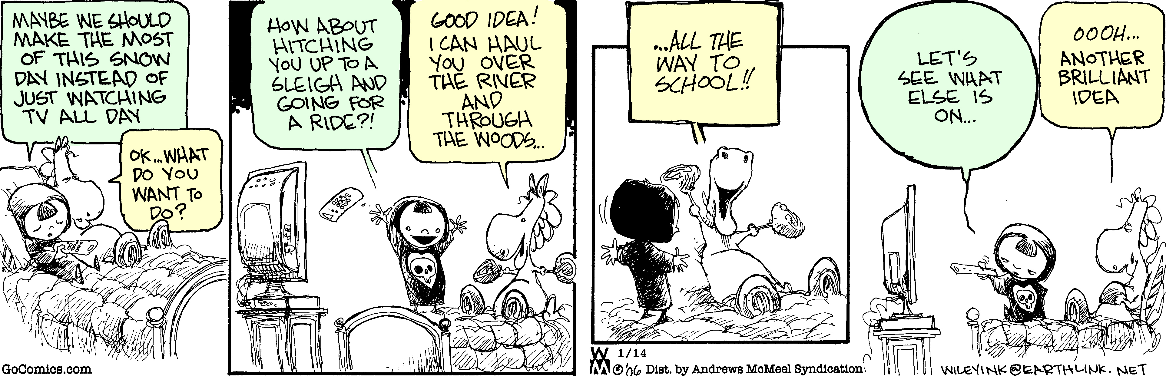 Non Sequitur by Wiley Miller