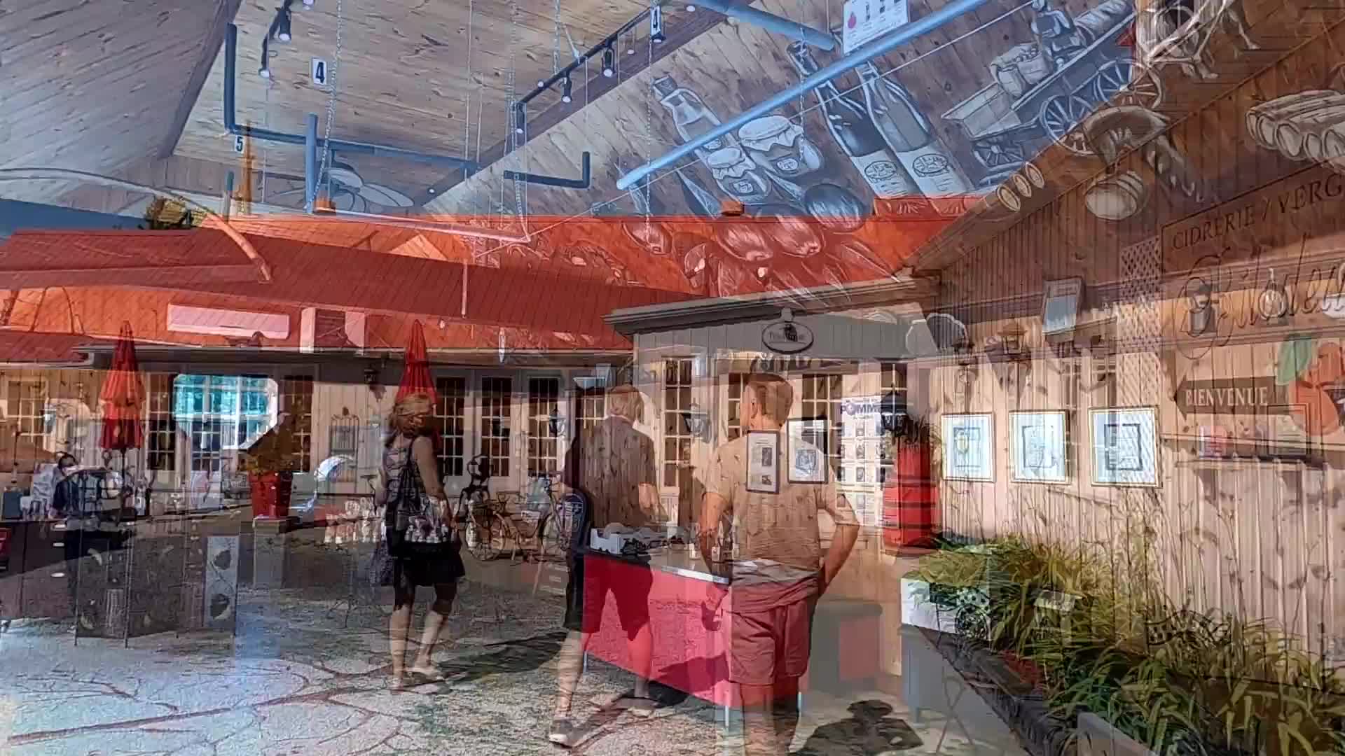 Discovering Île d'Orléans: Epic food & wine tour from Quebec City!🇨🇦