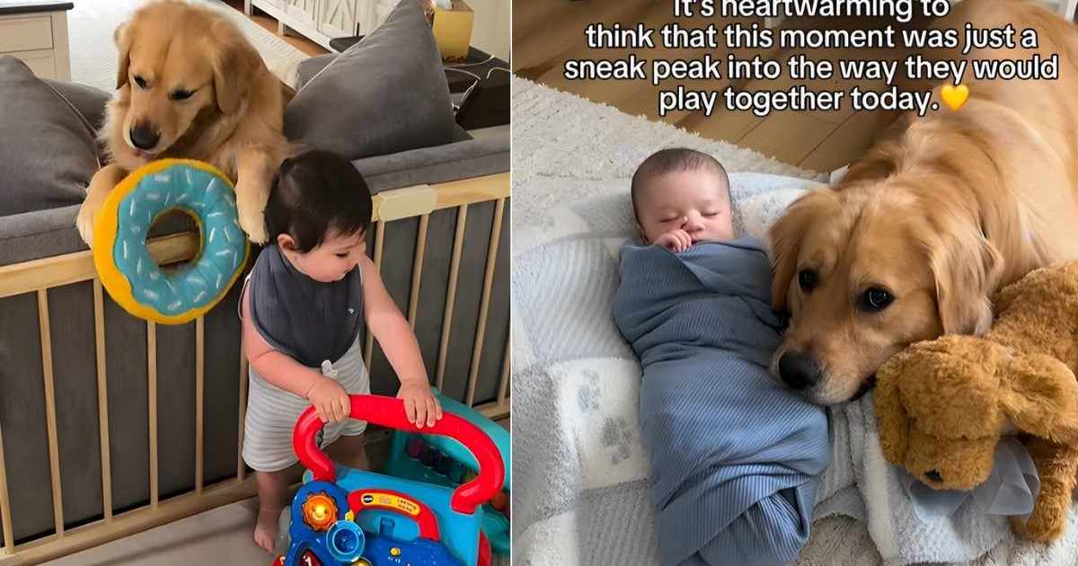 Video captures adorable start of baby & pet dog's brotherhood