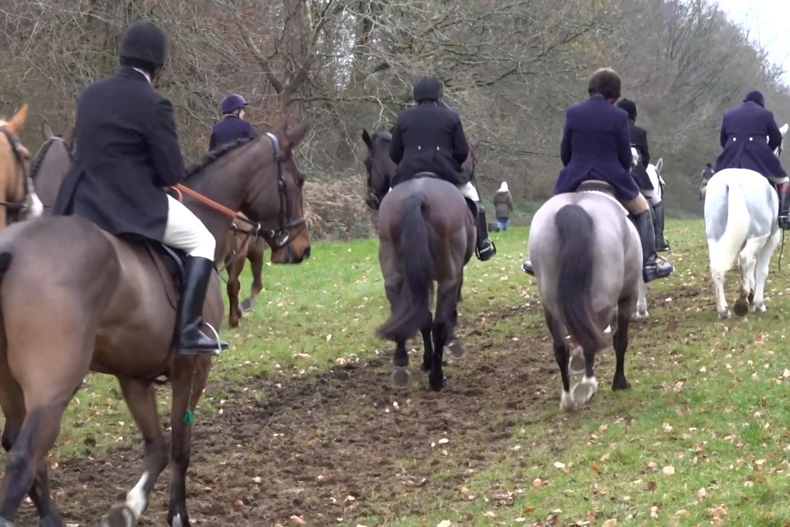 The only thing that should be banned is masked hunt saboteurs ...