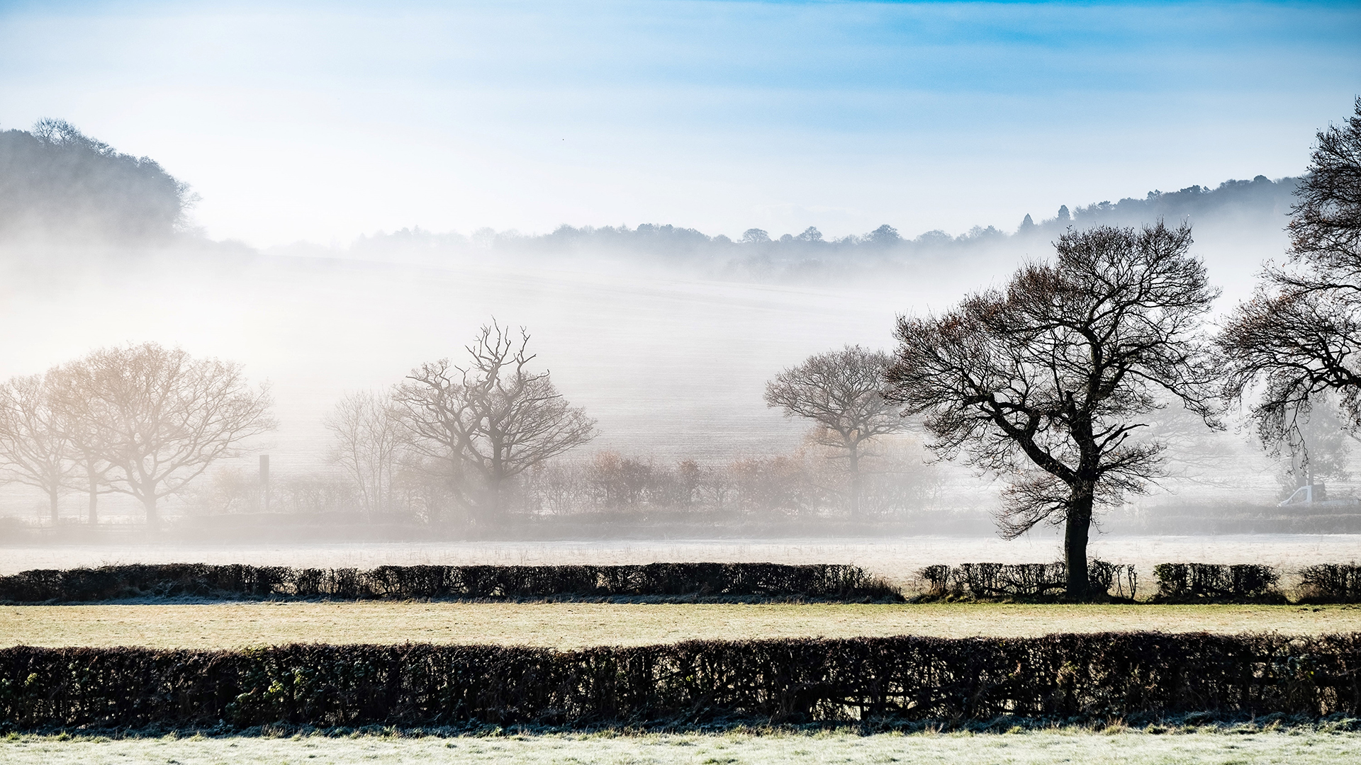 Weekend weather: A mixed spell to come with rain, cloud, mist and fog