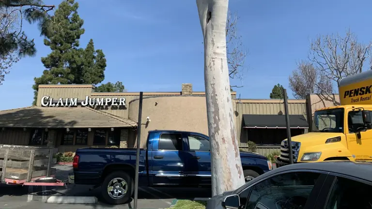 Cooper’s Hawk Winery & Restaurant menu prices with calories [updated 2026]