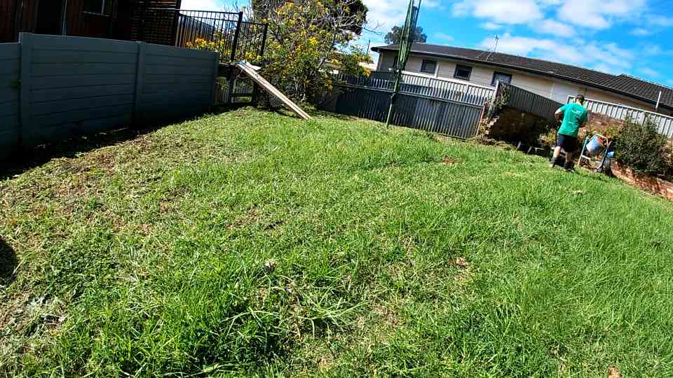 Tall grass, no problem - push mower vs. overgrown lawn
