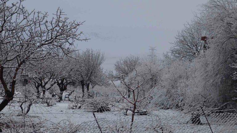 Gercüş beyaz örtüyle kaplandı