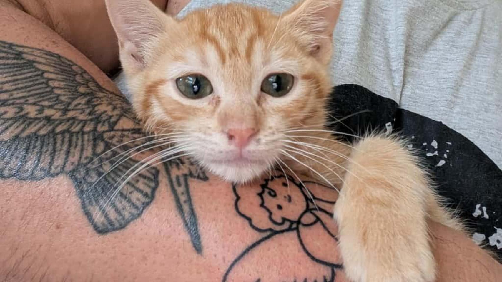 Elisendra, veterinaria, sobre cómo alimentar a tu mascota durante un ...