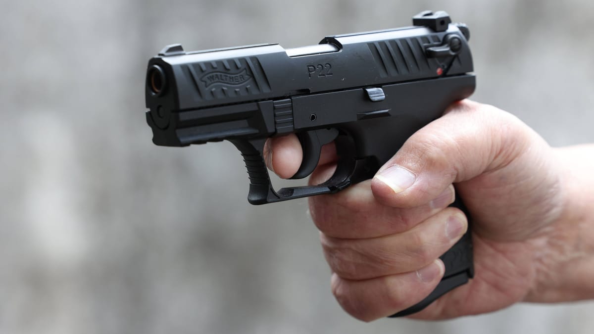 Mann wirft Hundewelpen aus dem Fenster – Polizei schießt