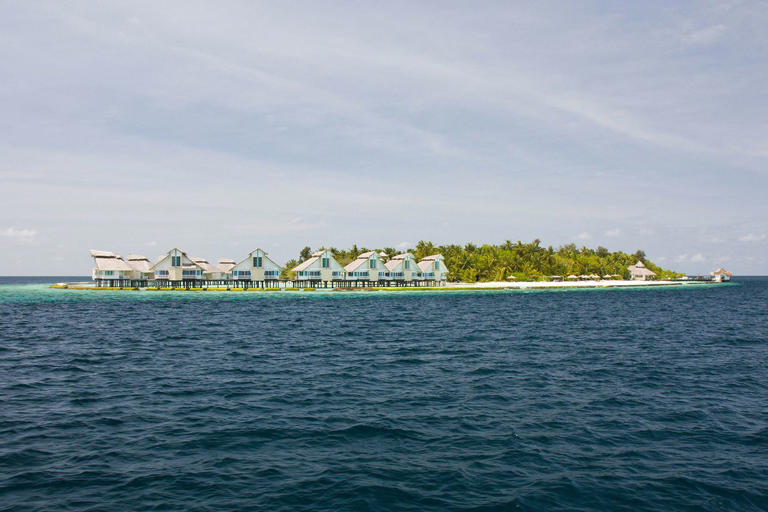 Retired couple dies 3 days apart after 'tragic' scuba diving accident ...