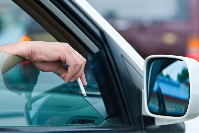 OAP, 70, fined £225 for 'snotting out van window' but council say he ...