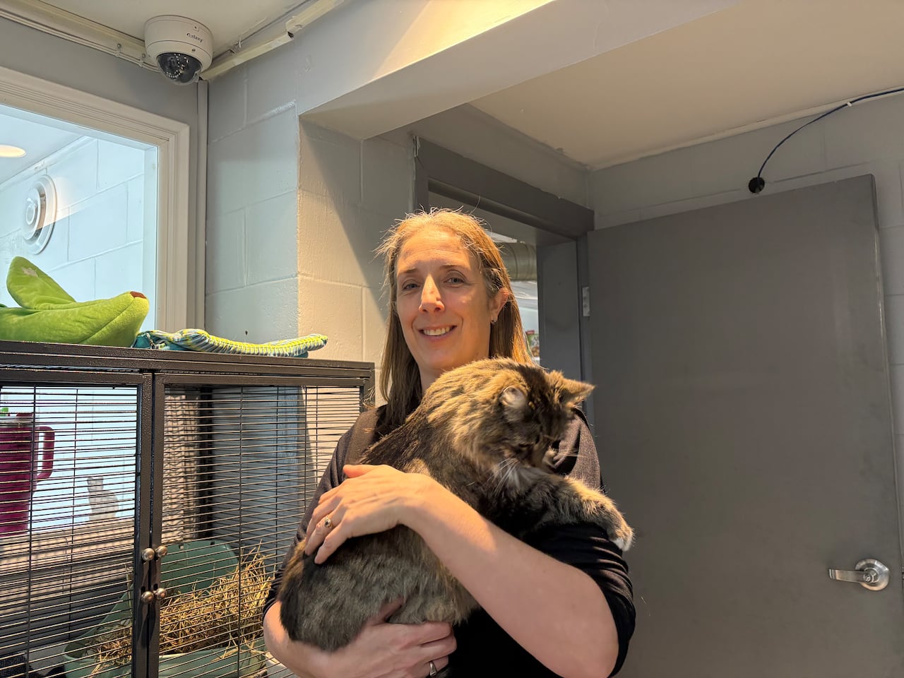 Rising cost of living forcing some NB pet owners to make difficult ...