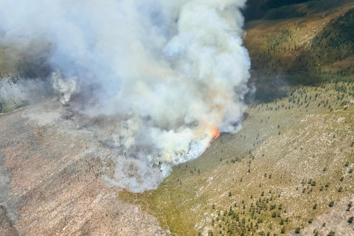 Western Cape looks to declare disaster amid wildfires and water crisis