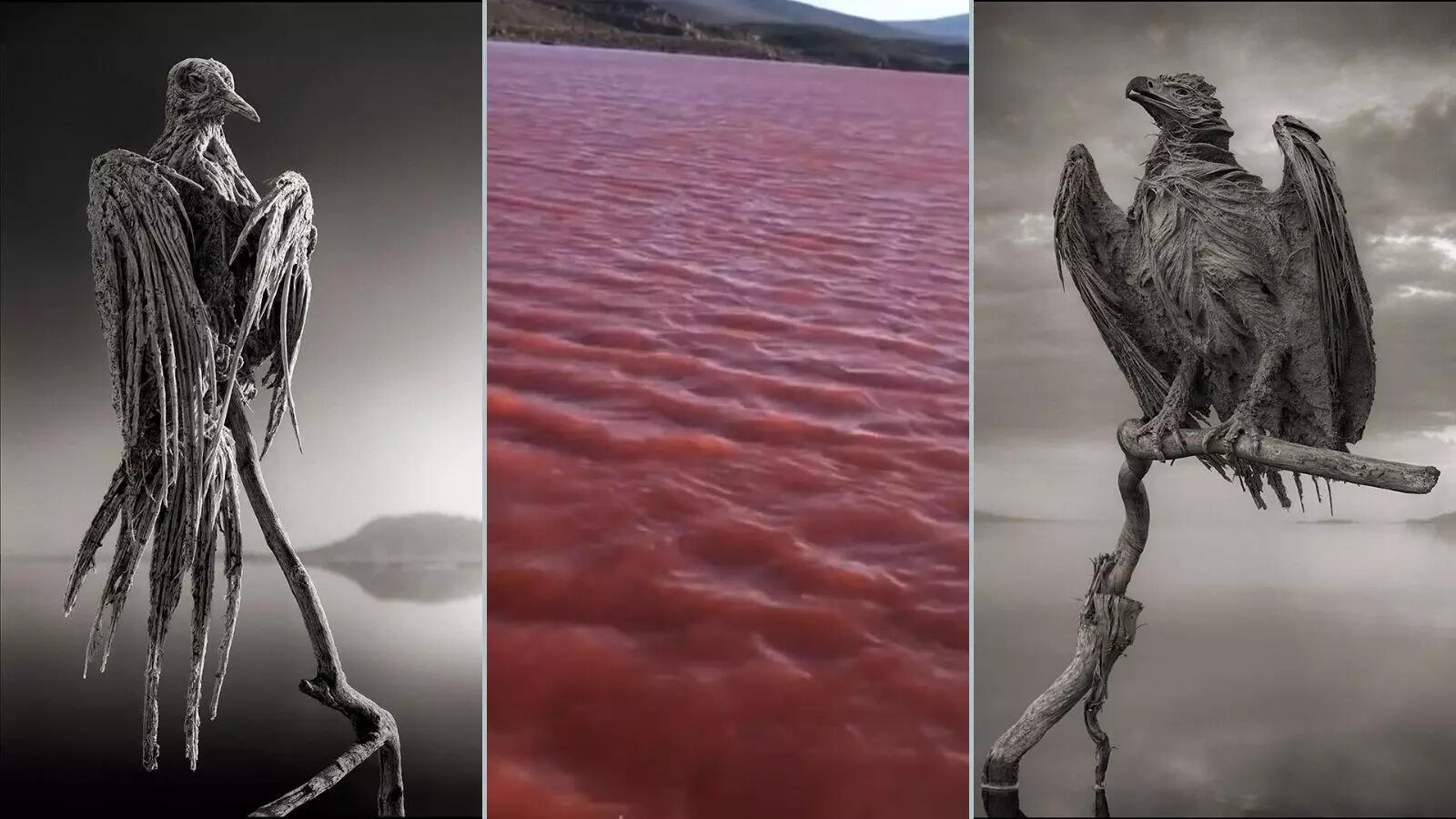 The mysterious red Lake Natron in Tanzania that turns living things ...
