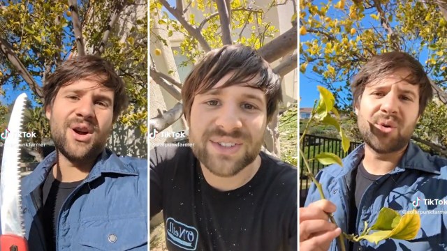 Gardener shares 'awesome' hack to grow fruit trees at home: 'I do this ...