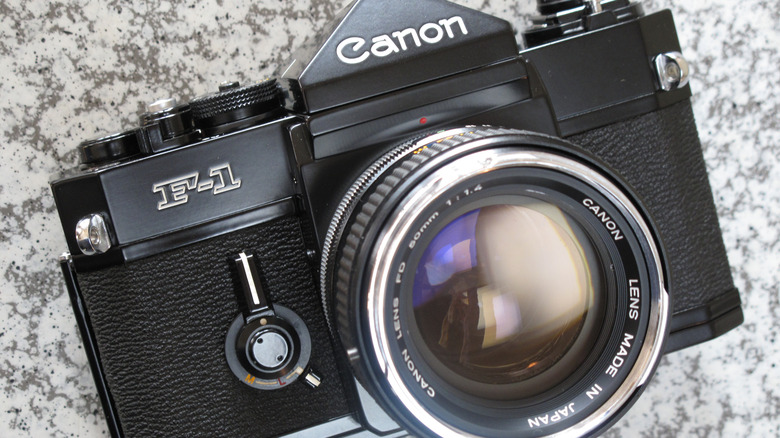 7 classic film SLR cameras worth buying today