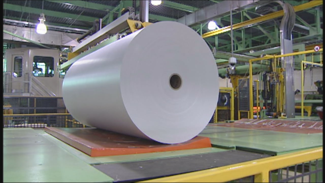 Province’s biggest forestry company seeks NB Power exit