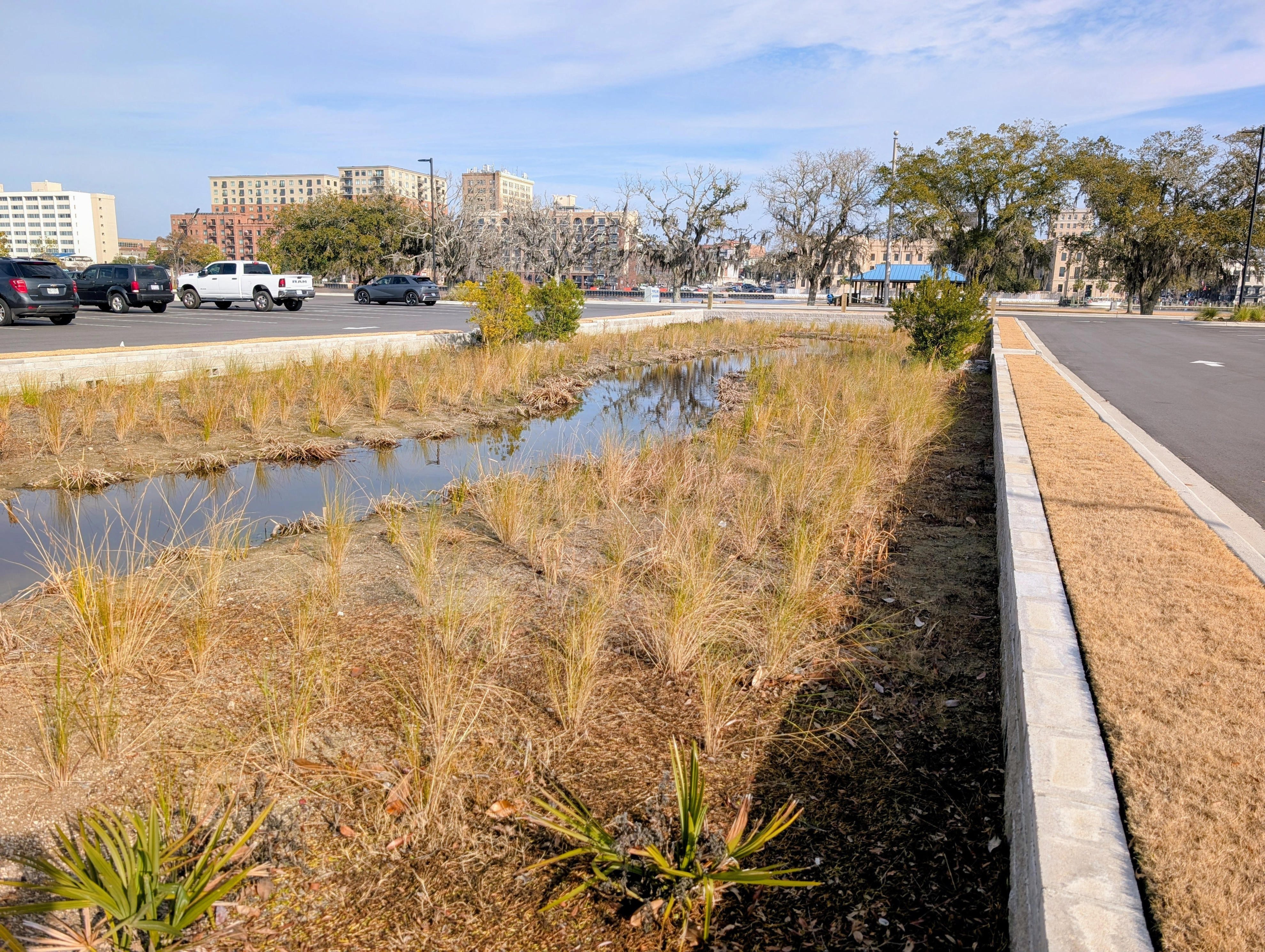 How the Battleship North Carolina shares its environment with nature