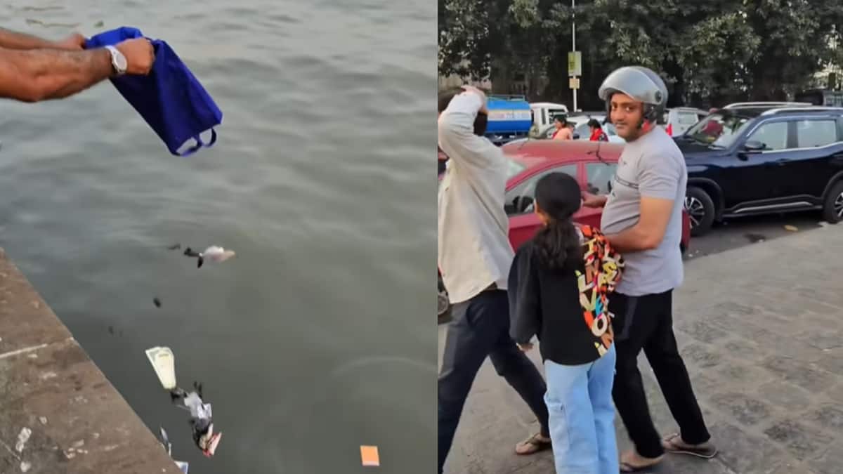 Foreign tourist catches man littering at Gateway of India, video sparks ...
