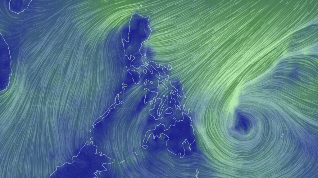 Live updates: TD Ada