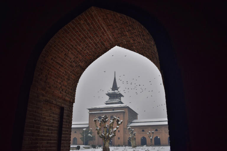 Religious groups, political parties in J&K object to alleged profiling ...