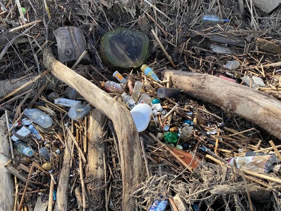 California resident shares shocking images of what they pulled out of ...