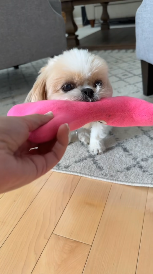 How is she that fast