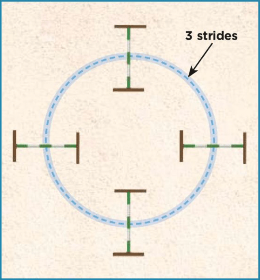 Joe Stockdale’s exercises to stop a horse drifting between fences