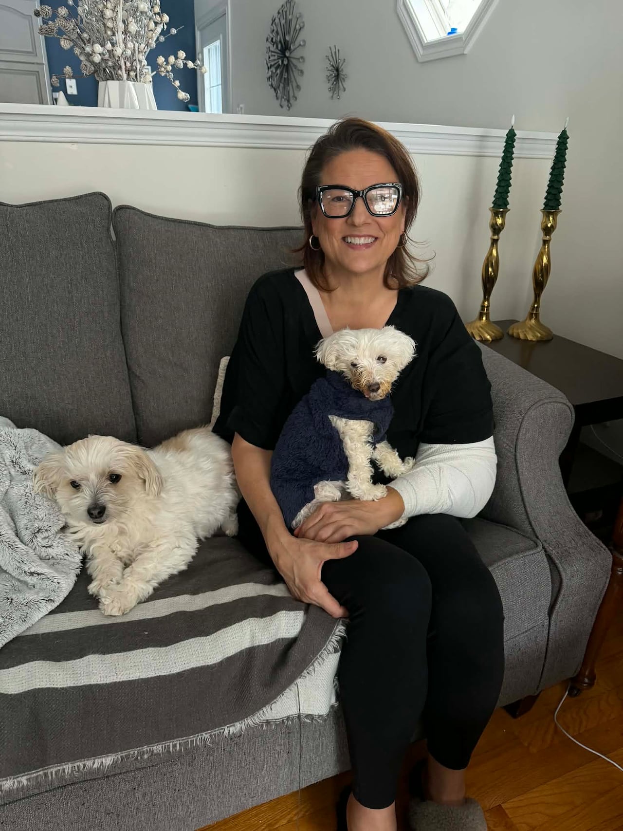 Rising cost of living forcing some NB pet owners to make difficult ...