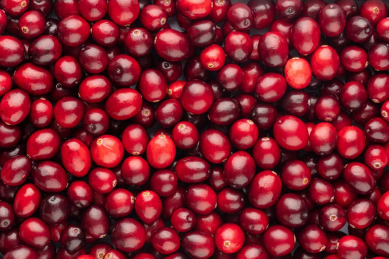 Cranberries – Die fruchtig-säure Beere mit Power und vielen Einsatzideen