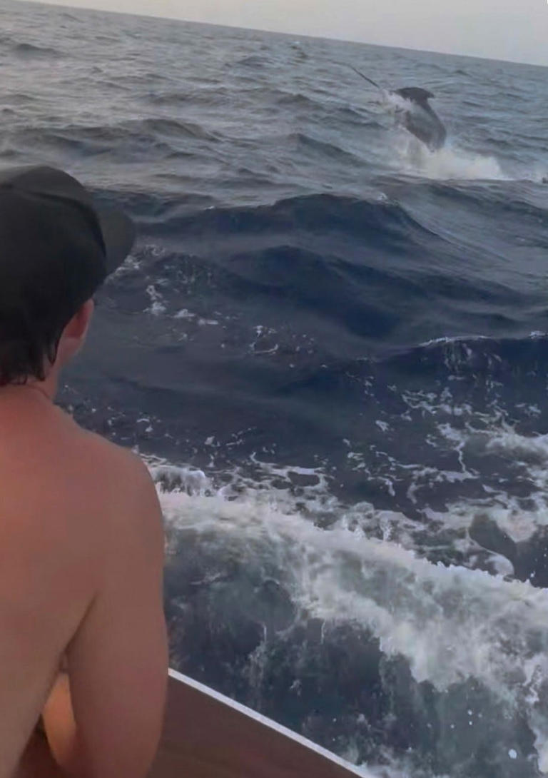 Destin's Team Supreme reel in 84 marlin for record in 2025