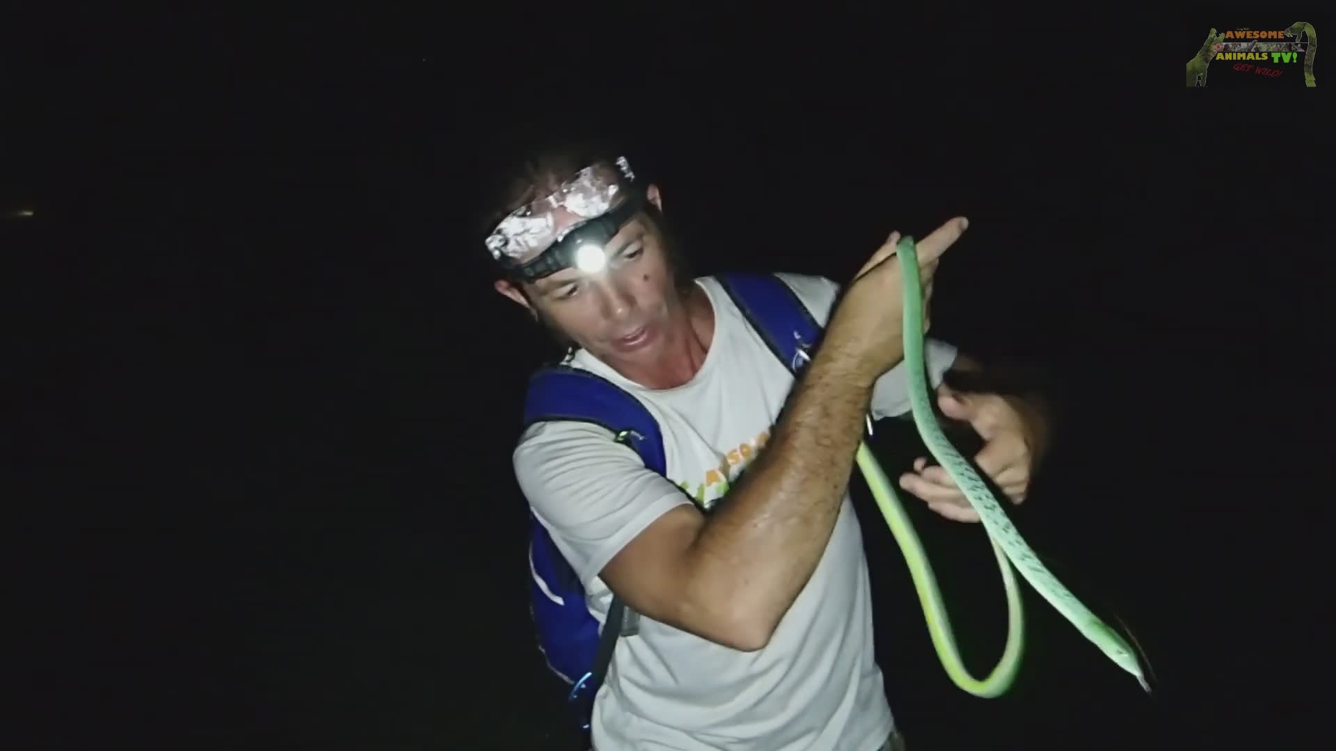 Real consequences of improper snake handling