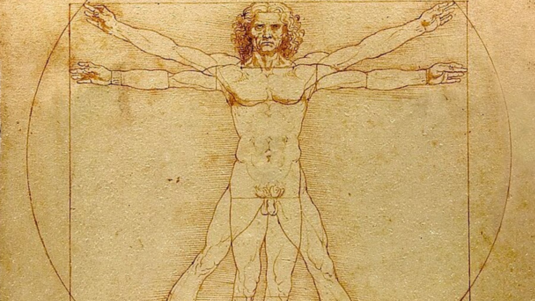 Los expertos no dan crédito: analizan dibujos de Da Vinci y hallan ...