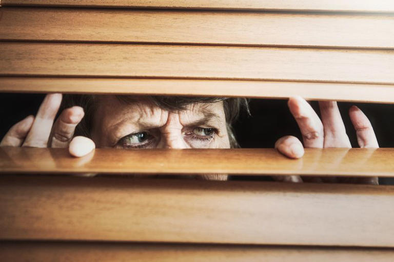 Survey reveals Irish neighbours' biggest complaints, with noise and ...