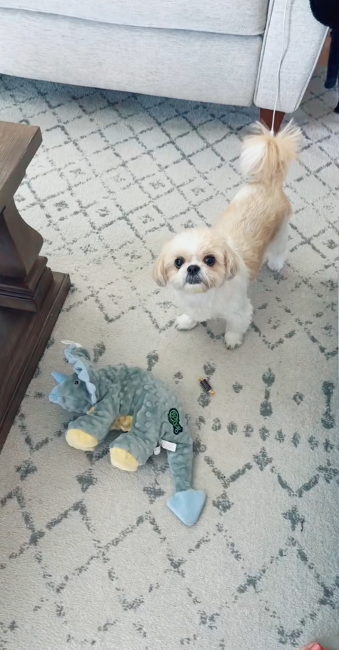 Innocent looks can be deceiving