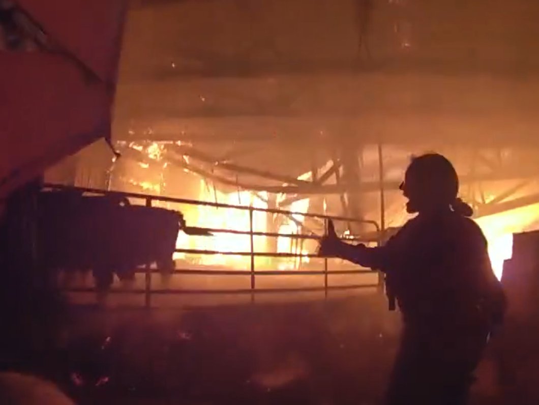 At last second: Police rescue cows from inferno