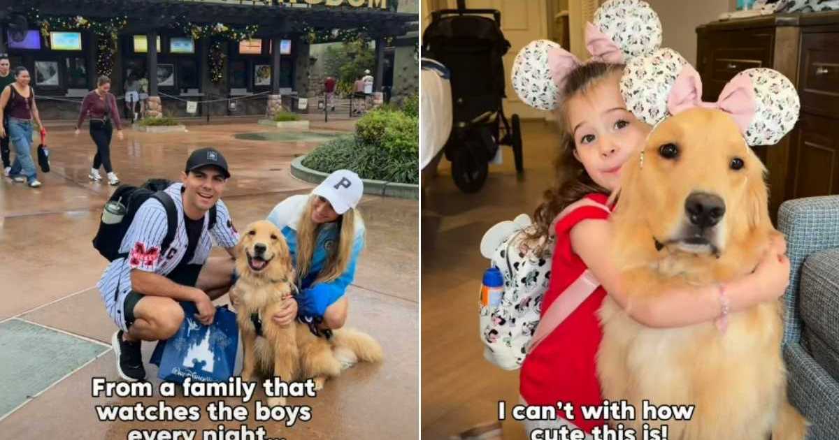 Video: Golden retriever makes little girl's day with surprise