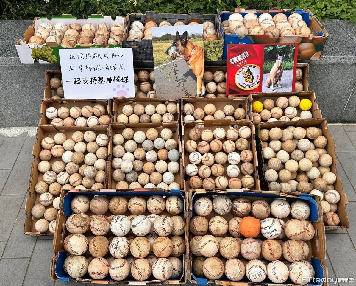 退役搜救犬Beta撿了700顆棒壘球 飼主將遺愛捐贈基層棒球隊