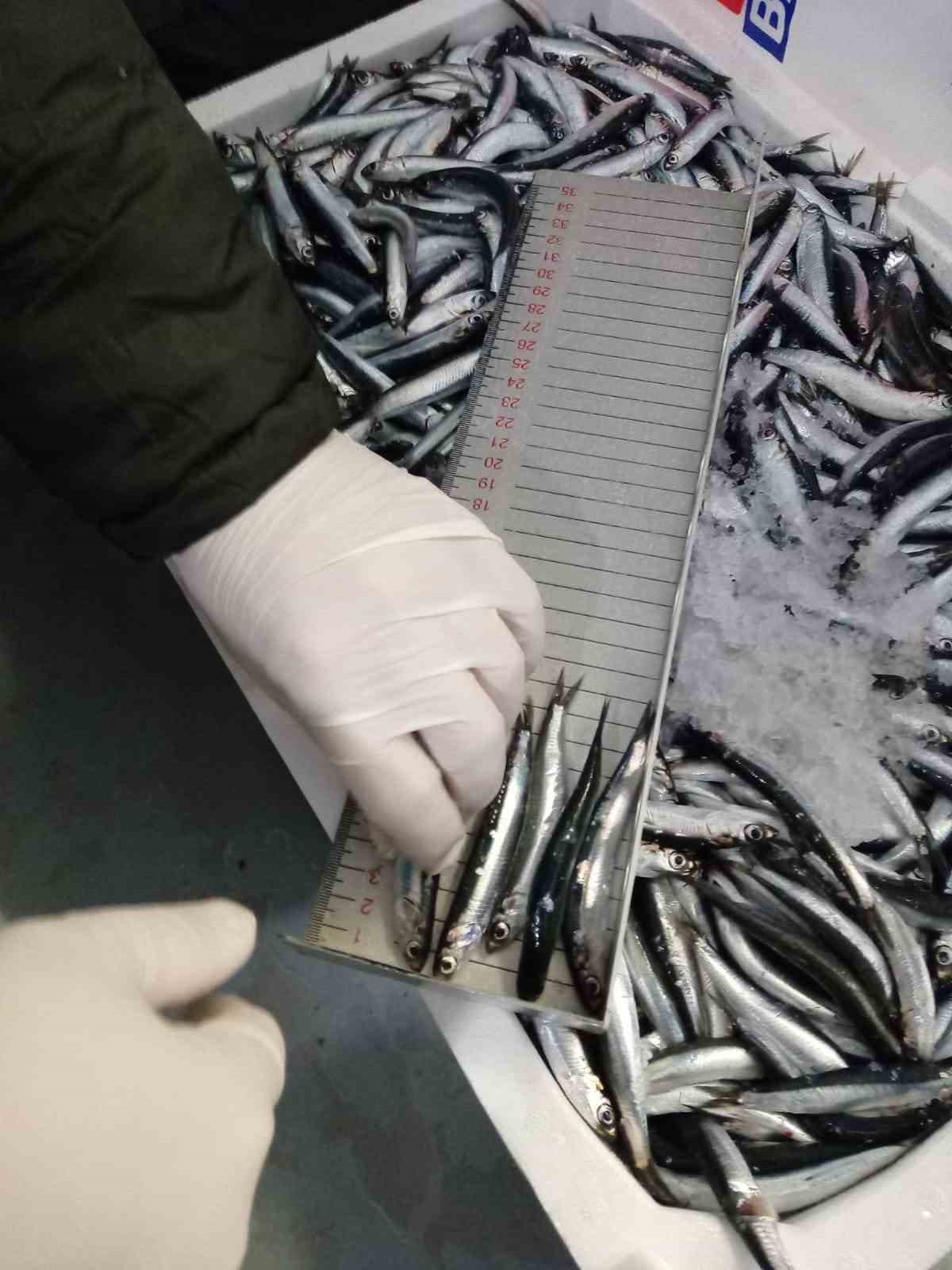 Trabzon’da 2025 yılında su ürünleri denetimlerinde 43 kişiye 3,2 milyon ...