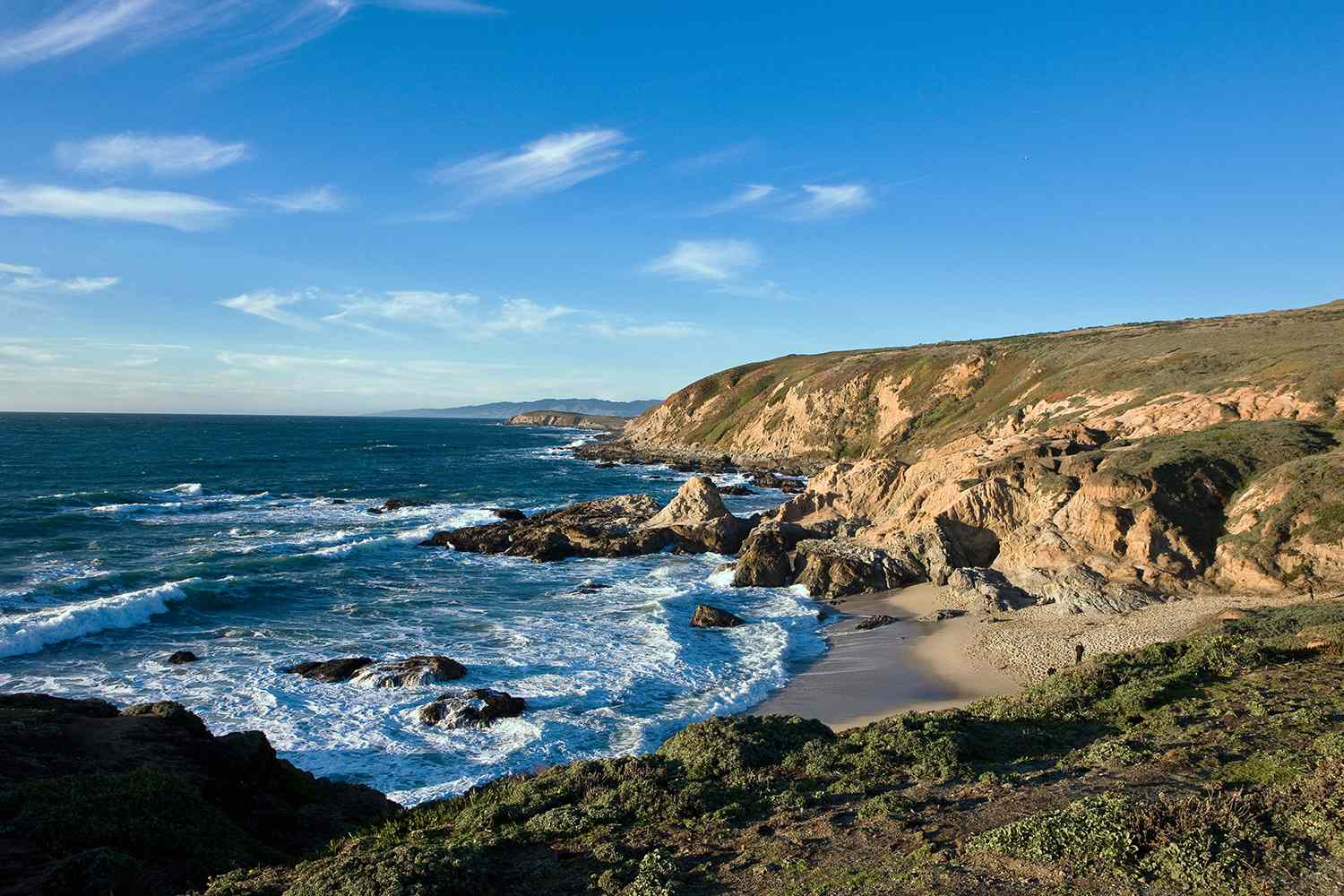 Shark attack leaves surfer with 'puncture wounds' and board bit in half ...