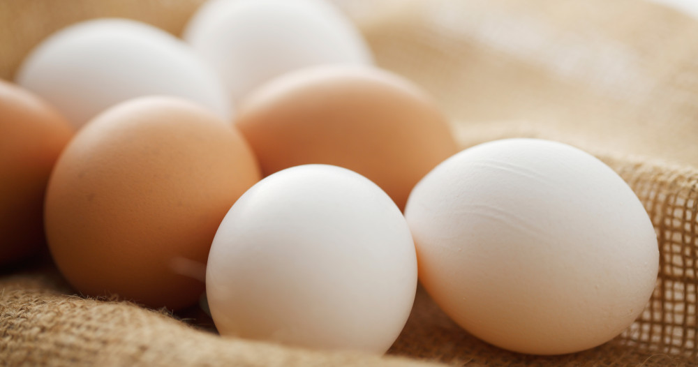 Pénurie d’œufs en France : blanc ou beige, y a-t-il une différence
