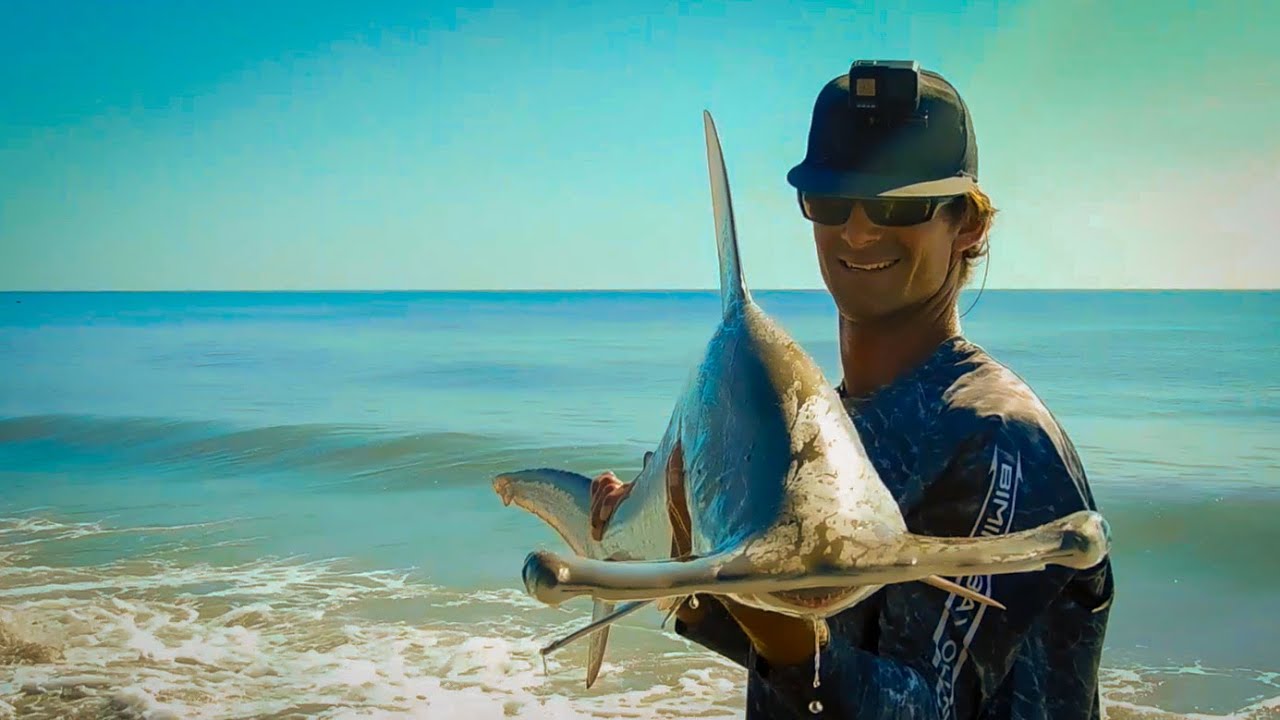 Accidental shark catch while surf fishing – wild fight on the beach