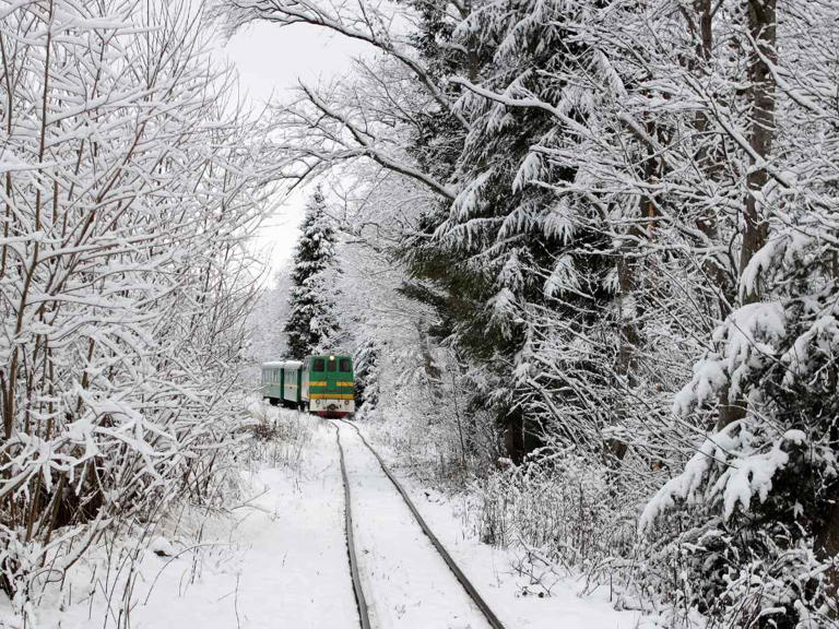 Ferrovia Vigezzina-Centovalli: il treno panoramico più bello si tinge ...