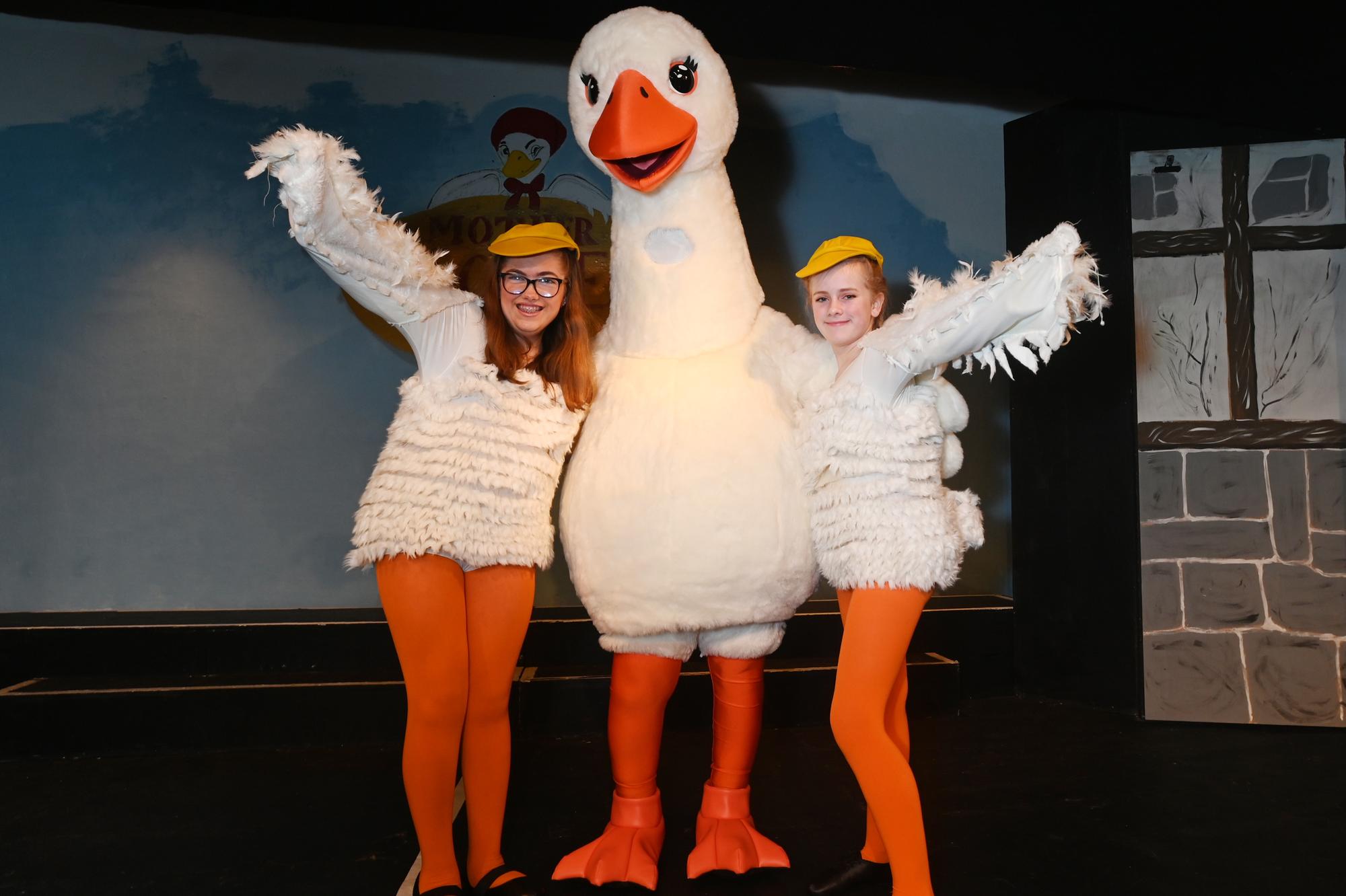 Egg-cellent entertainment as Wigan drama group performs Mother Goose