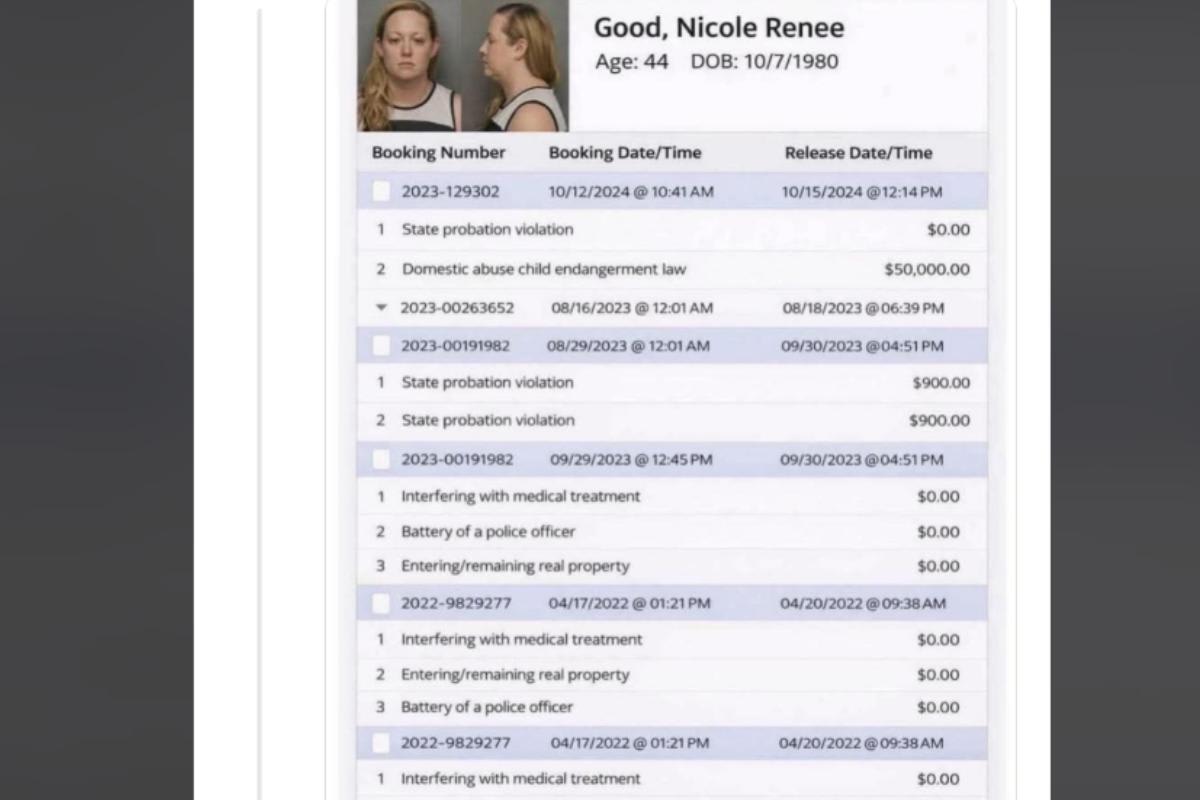 Renee Nicole Good's name smeared by AI fake sheet: MAGA using AI ...