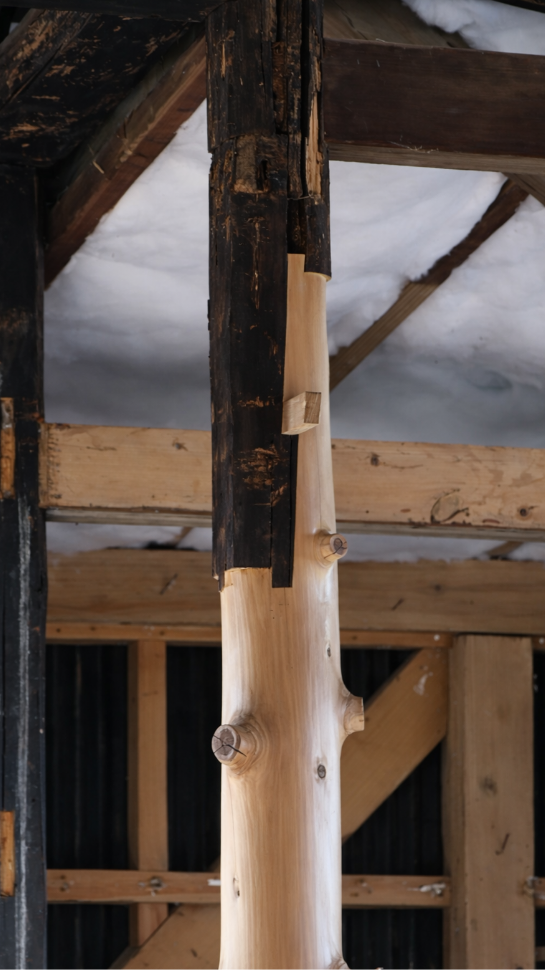 How old and new wood meet